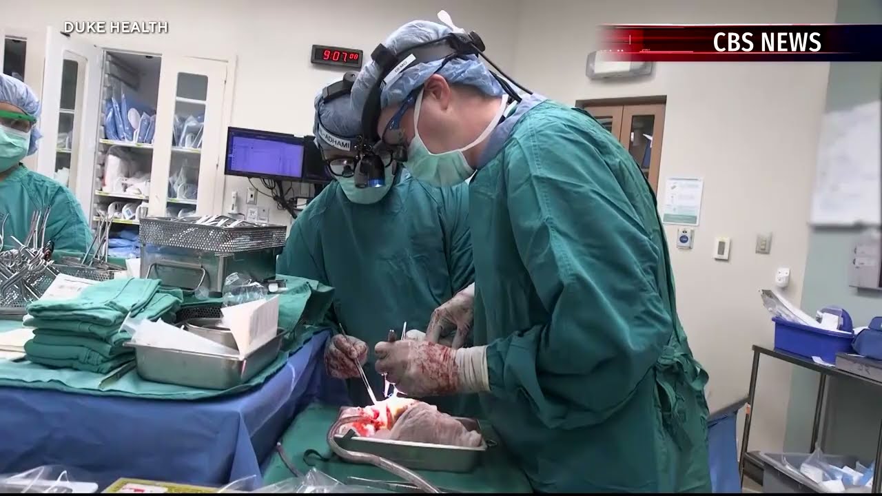 What to know about organ donation, Donate Life Month - TrojanVision