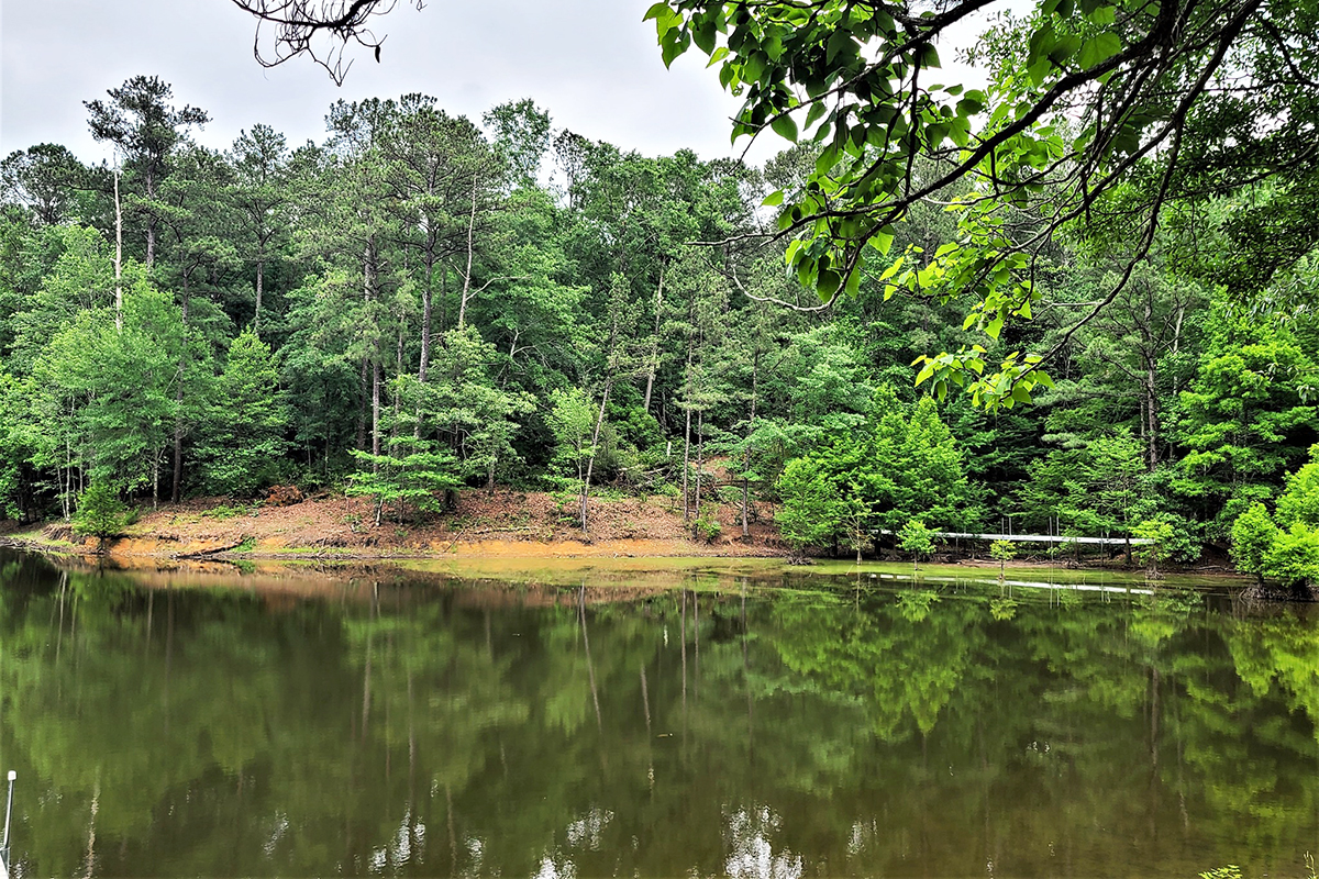 TROY arboretum receives grants from Wiregrass RCD, Alabama Audubon ...